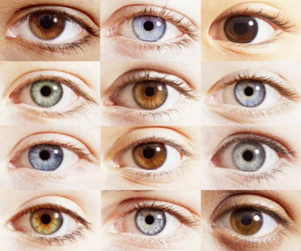 The Best Glasses for Blonde Hair