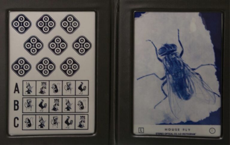 What Is Depth Perception & How Does It Work?